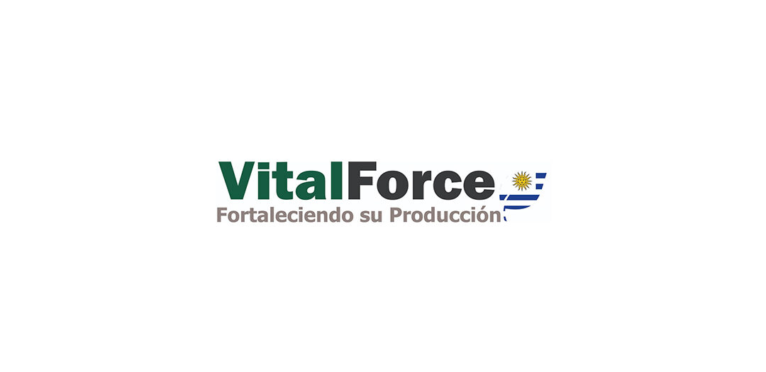 VitalForce | Expo Melilla